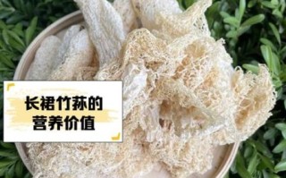 长裙竹荪怎么泡发_长裙竹荪怎么吃最好
