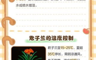 君子兰怎么养_君子兰养殖注意事项