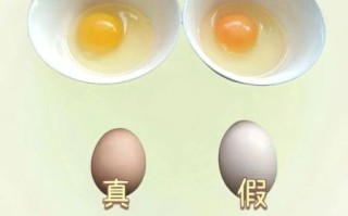 土鸡蛋和草鸡蛋的区别_哪个营养价值更高