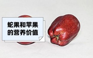 蛇果苹果和红富士哪个好_蛇果苹果营养价值高吗