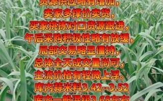 今日金乡大蒜价格_金乡大蒜多少钱一斤