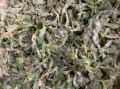 马扎菜的功效与作用_马扎菜怎么吃效果最好