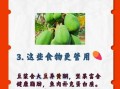 女人吃木瓜丰胸最佳方法_木瓜怎么吃才有效