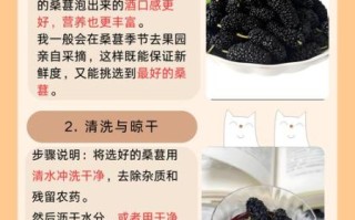 桑葚酒的功效与作用_桑葚酒怎么泡才正确