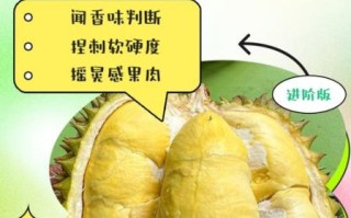 榴莲蜜怎么看熟不熟_榴莲蜜成熟判断方法