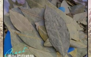 香叶是什么树的叶子_香叶和月桂叶的区别