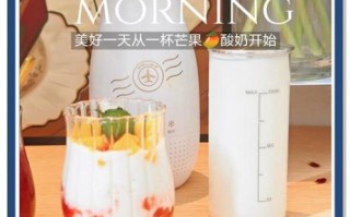 酸奶机可以做哪些食物_酸奶机除了酸奶还能做什么