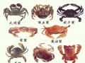 蟹类大全及名字_常见蟹种有哪些