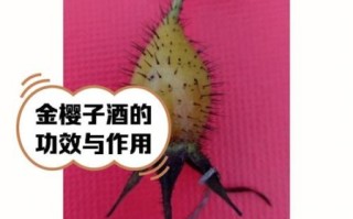 金樱子泡酒配方大全_金樱子泡酒比例是多少