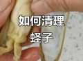 蛏子怎么去内脏_蛏子内脏清理步骤