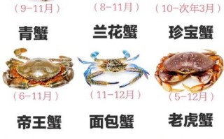 女生一天最多吃几个螃蟹_吃螃蟹会胖吗