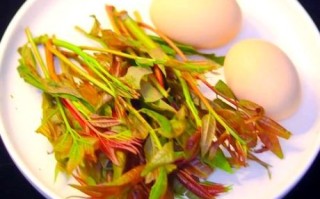 香椿叶炒鸡蛋怎么做_香椿叶炒鸡蛋的家常做法