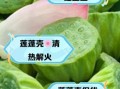 莲蓬壳的功效与作用_莲蓬壳煮水有什么功效