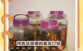 首乌泡酒的功效与作用_首乌泡酒怎么喝最有效