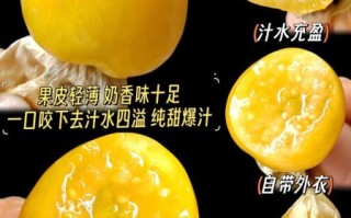 东北姑娘果是什么_东北姑娘果怎么吃