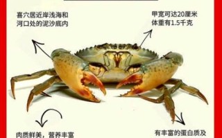 螃蟹的营养价值及功效与作用_吃蟹有哪些禁忌