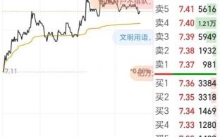 黑芝麻股票值得长期持有吗_黑芝麻股票未来走势如何