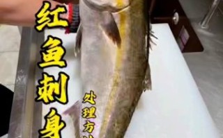 章红鱼刺身怎么做_章红鱼刺身有寄生虫吗