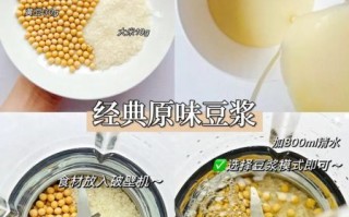 九阳豆浆机米糊的做法大全_米糊比例怎么调