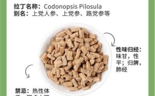 党参怎么吃效果最好_党参禁忌有哪些