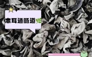 黑木耳的功效与作用_黑木耳怎么吃最好