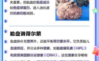 男人吃胎盘可以壮阳吗_胎盘壮阳是真的吗