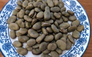茴香豆的功效与作用_茴香豆怎么吃最养胃
