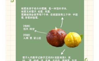 栗子吃了有什么好处和坏处_栗子一天吃多少合适