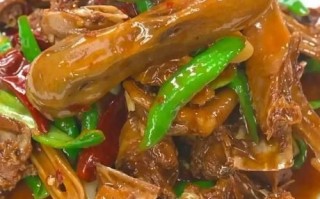 啤酒鸭的家常做法步骤_老鸭子怎么炖才嫩