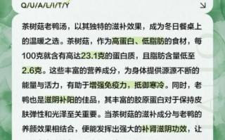 茶树菇老鸭汤的功效与作用_适合什么人喝