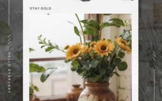 花甲之年经典句子有哪些_花甲之年如何优雅老去