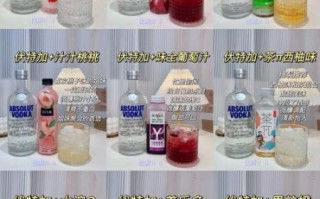 伏特加鸡尾酒配方_伏特加鸡尾酒怎么调