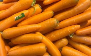 胡萝卜多少钱一斤_胡萝卜价格为什么波动