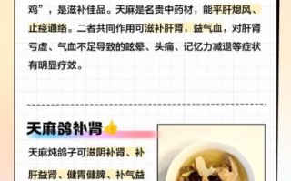 天麻炖鸽子小孩能吃吗_儿童用量与禁忌