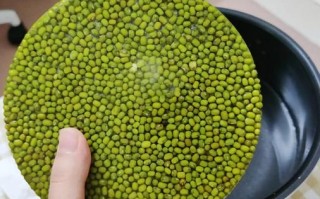 绿豆汤怎么煮不变色_绿豆汤如何保持绿色