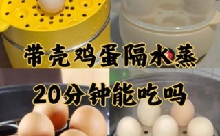 隔水蒸鸡蛋要多久_鸡蛋蒸多久才嫩滑