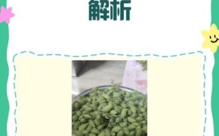 鹰嘴豆的功效与作用及食用方法_鹰嘴豆怎么吃最营养