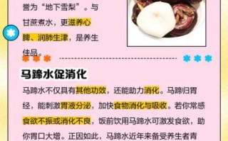 马蹄水怎么做_马蹄水有什么功效