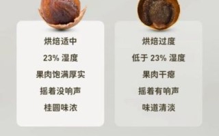 干龙眼肉怎么吃_干龙眼肉一天吃多少合适