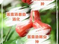 莲雾是什么水果_莲雾怎么吃才好吃