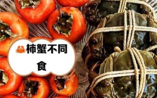 螃蟹和柿子隔多久能吃_吃了会怎样