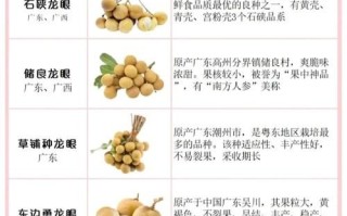 龙眼的功效与作用_龙眼怎么吃最补气血