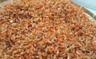 海米是什么_海米图片长什么样