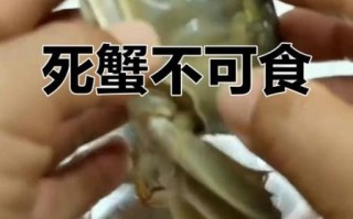 死了一天的螃蟹能吃吗_如何判断螃蟹新鲜度