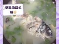 孕妇可以喝草鱼汤吗_草鱼汤的做法孕妇版