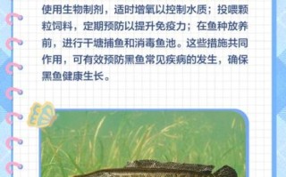 黑鱼养殖技术视频_黑鱼养殖新手怎么开始