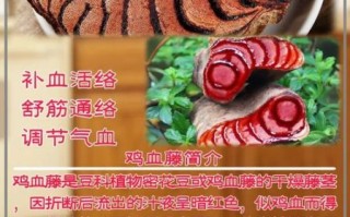 鸡血藤的功效与作用是什么_鸡血藤图片长什么样