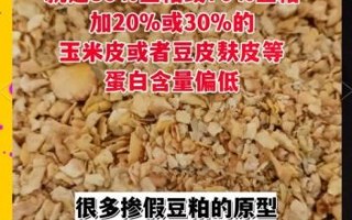 豆饼和豆粕的区别_哪个更适合做饲料