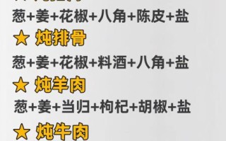 怎么炖肉才好吃_炖肉软烂不柴的秘诀