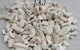 龙骨是哪个部位_龙骨在中医里指什么